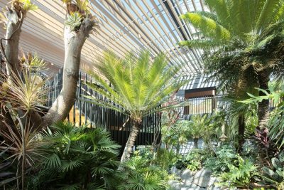 Forest Valley Hot spring Center - Revista Estilo Propio