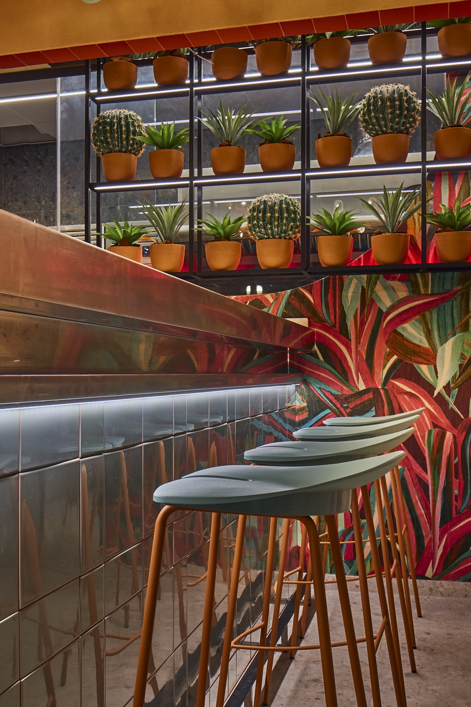 Bache Padre - Revista Estilo Propio